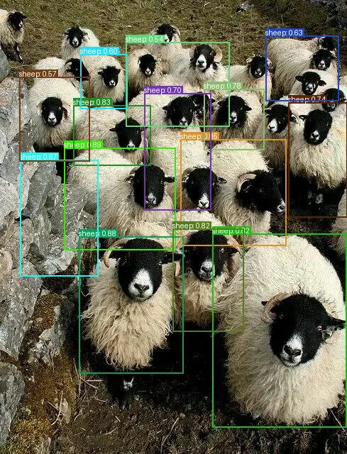 RT-DETR Beats YOLO? Full Comparison + Tutorial